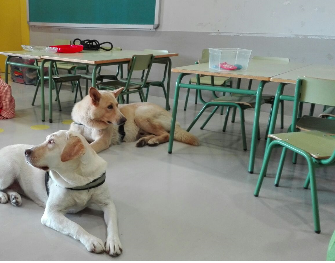 Terapia Asistida con Perros - Increscento